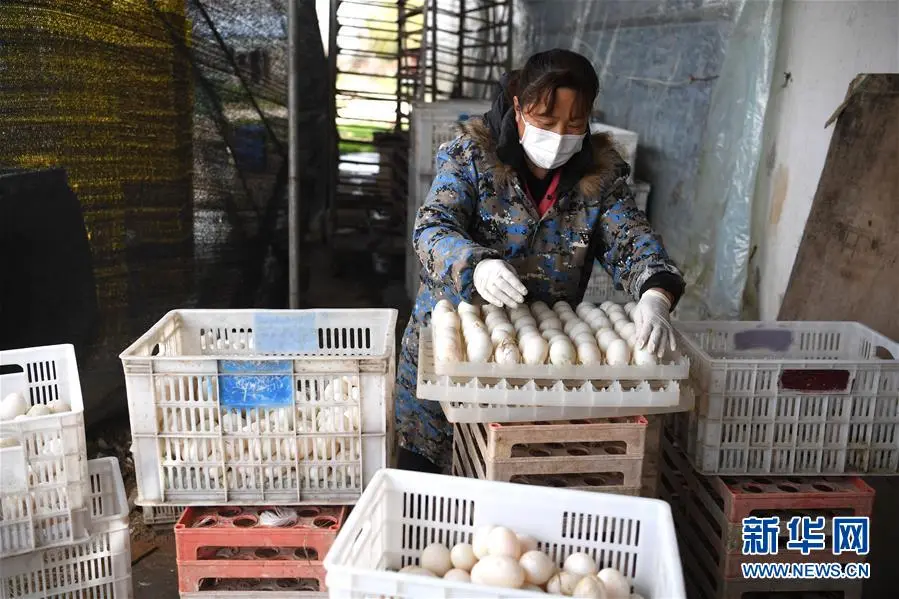 10 วิธีป้องกันตัวเองจาก โควิด19 จากปากนักข่าวในเมืองอู่ฮั่นที่รอดไวรัส ...