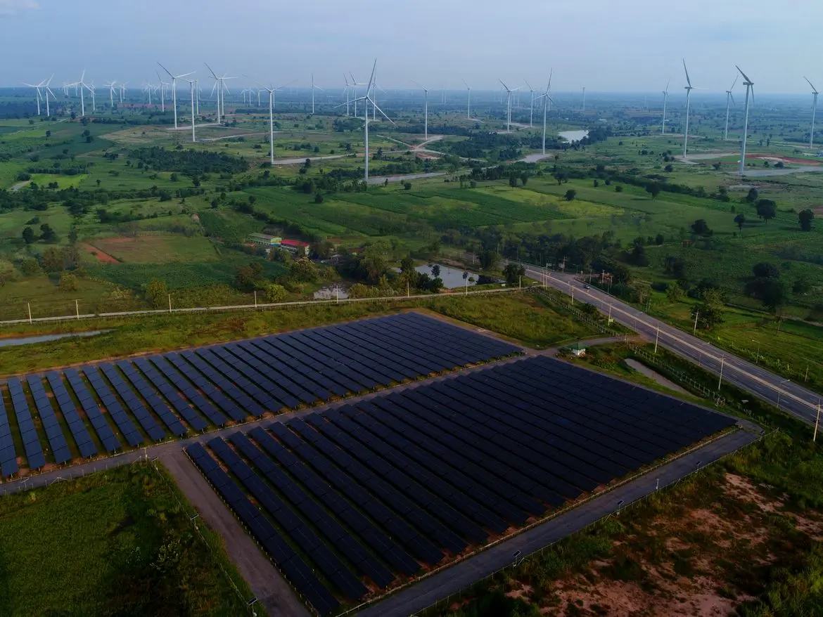 ปตท. ประกาศเป้า Net Zero 2050 เร่งปลูกป่าเพิ่มอีก 1 ล้านไร่